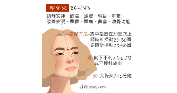 印堂穴 EX-HN3 - 鎮靜安神、醒腦、通竅、明目、解鬱、 改善失眠、頭昏、頭痛、鼻塞、嗅覺功能